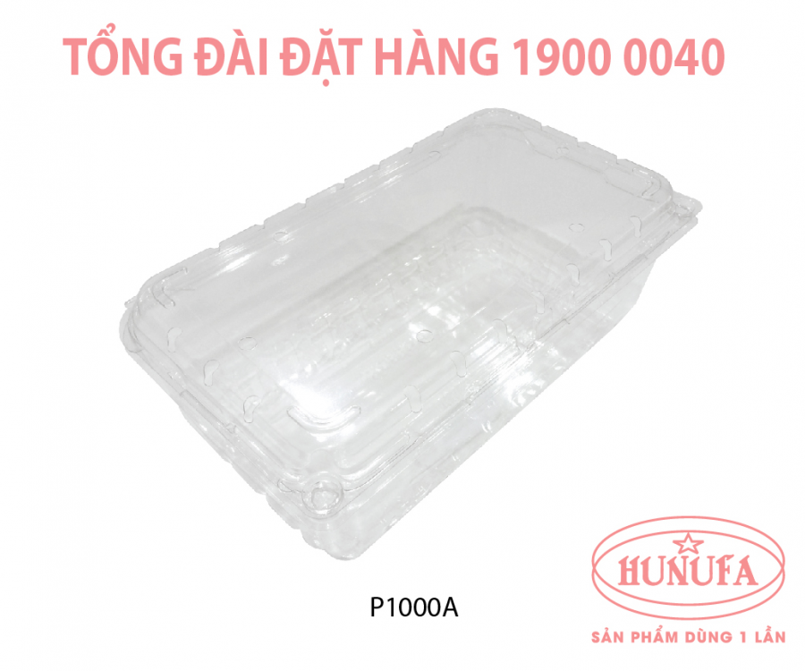 Hộp nhựa thực phẩm PET P1000A